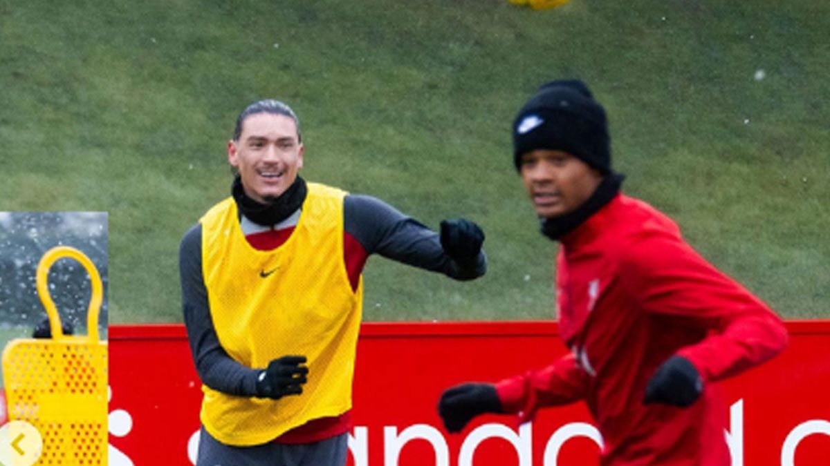 Link Live Streaming Brentford Vs Liverpool Premier League 17 Februari