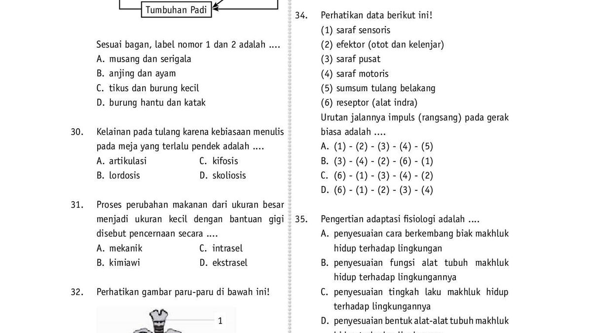 Latihan Soal PTS UTS IPA Kelas 7 SMP Semester 1 dan Kunci Jawaban ... Latihan Soal PTS UTS IPA Kelas 7 SMP Semester 1 dan Kunci Jawaban ...