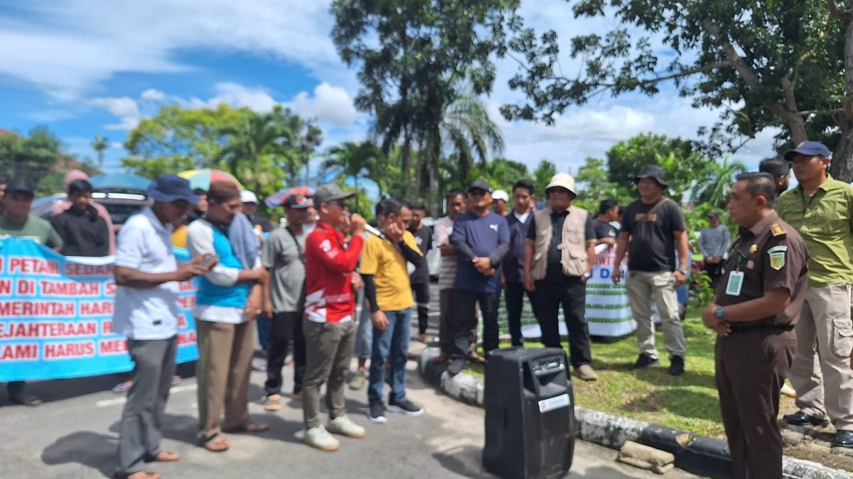 Bangka Belitung Hari Ini: Ratusan Petani Kelapa Sawit Aksi Damai di ... Bangka Belitung Hari Ini: Ratusan Petani Kelapa Sawit Aksi Damai di ...