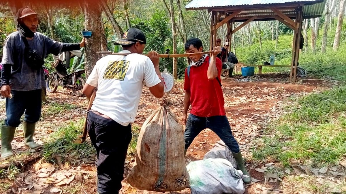 Upayakan Harga Karet Rakyat Tetap Bagus, Apkarindo Jawa Barat Jalin ... Upayakan Harga Karet Rakyat Tetap Bagus, Apkarindo Jawa Barat Jalin ...
