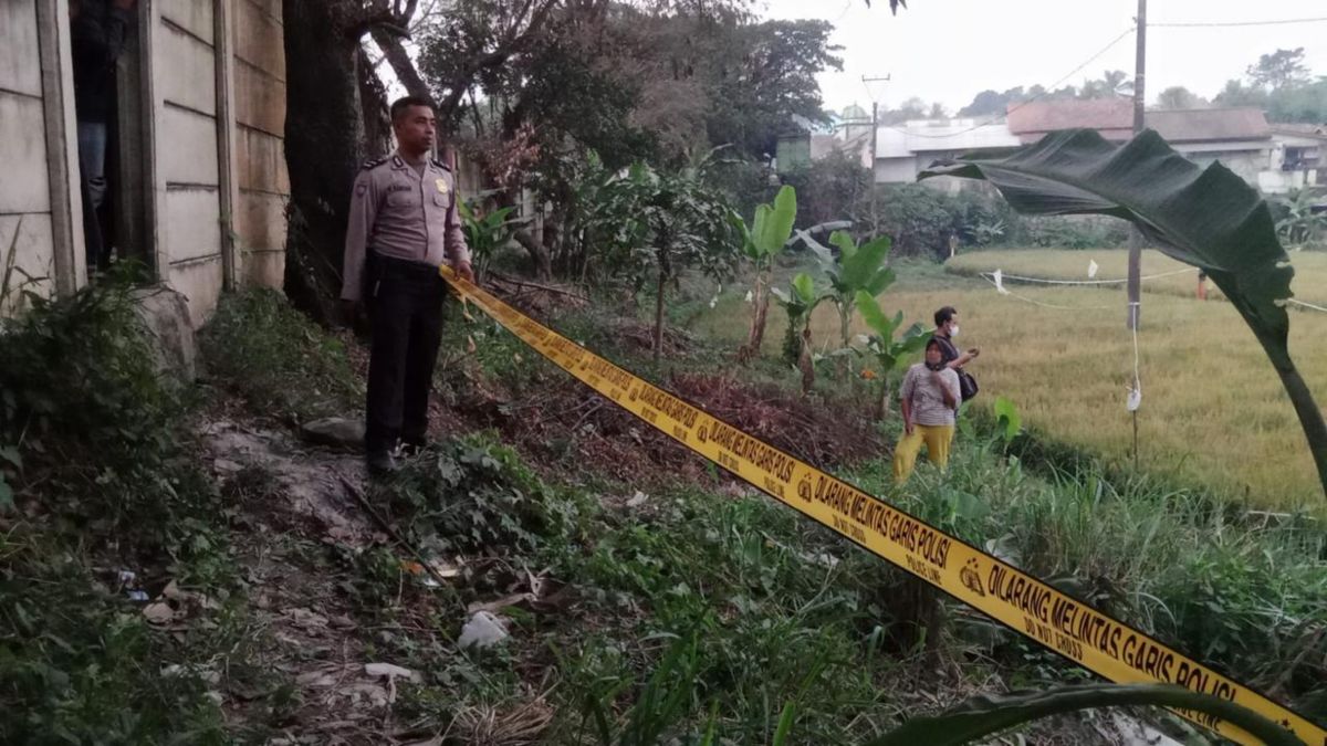 Warga Purwakarta Digegerkan Penemuan Mayat Bayi Dalam Kardus - PR ... Warga Purwakarta Digegerkan Penemuan Mayat Bayi Dalam Kardus - PR ...