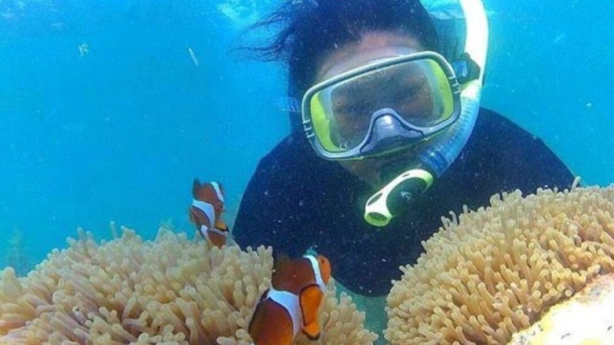 Teluk Bakau Bintan: Mengintip Keindahan Laut dari Tasik Divers - Harian ... Teluk Bakau Bintan: Mengintip Keindahan Laut dari Tasik Divers - Harian ...