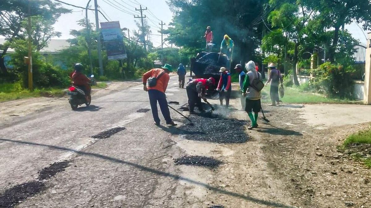 Pemkab Trenggalek Segera Perbaiki Jalan Rusak yang Ditanami Pohon ... Pemkab Trenggalek Segera Perbaiki Jalan Rusak yang Ditanami Pohon ...