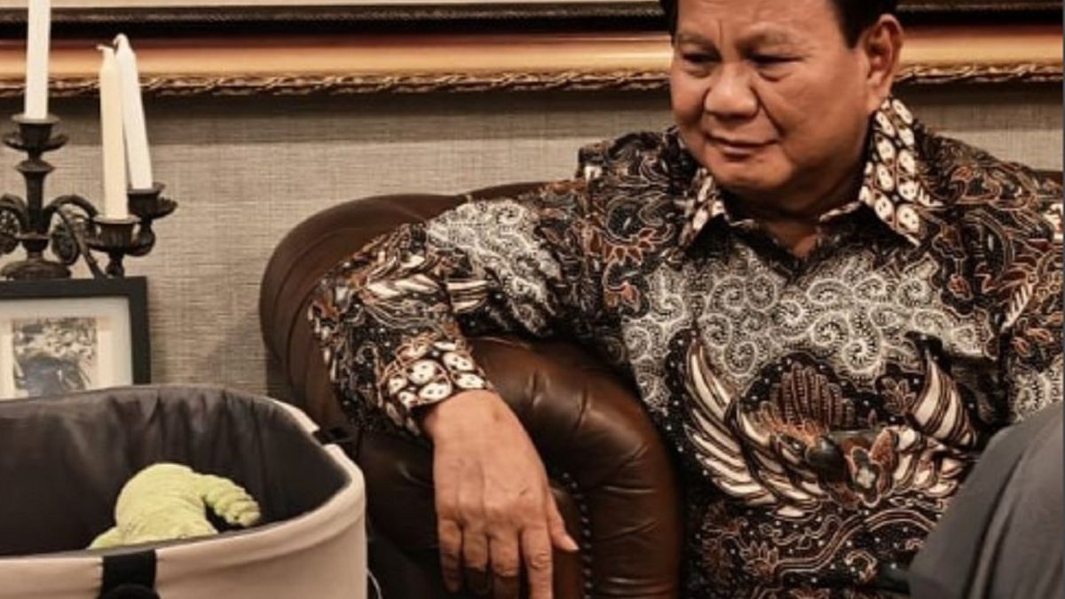 7 BUMN Raksasa yang Asetnya Bakal Dikelola Danantara Prabowo, Nilainya ... 7 BUMN Raksasa yang Asetnya Bakal Dikelola Danantara Prabowo, Nilainya ...