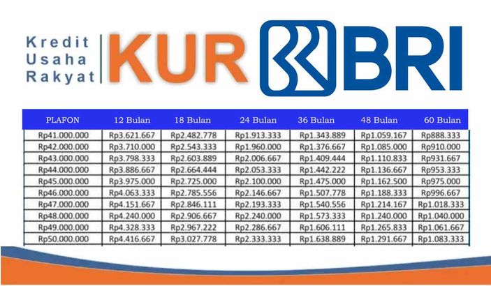 Simulasi Angsuran KUR BRI Tahun 2024 untuk Pinjaman 300 Juta, Brosur ...