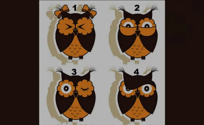 Tes Psikologi: Pilih Gambar Burung Hantu Ini, Coba Temukan Arti tentang ... Tes Psikologi: Pilih Gambar Burung Hantu Ini, Coba Temukan Arti tentang ...