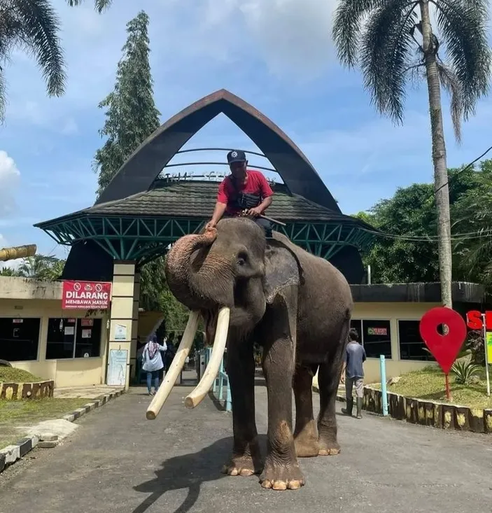 Sejarah Berdirinya Serulingmas Zoo, Kebun Binatang sebagai Destinasi ... Sejarah Berdirinya Serulingmas Zoo, Kebun Binatang sebagai Destinasi ...