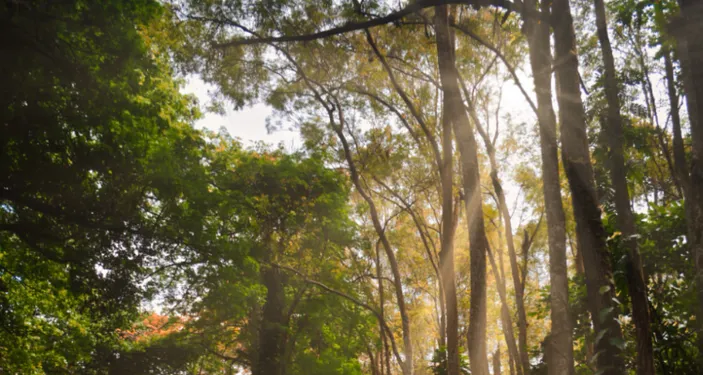 Persoalan Permukiman di Kawasan Hutan Jawa Barat Tak Kunjung Tuntas ... Persoalan Permukiman di Kawasan Hutan Jawa Barat Tak Kunjung Tuntas ...