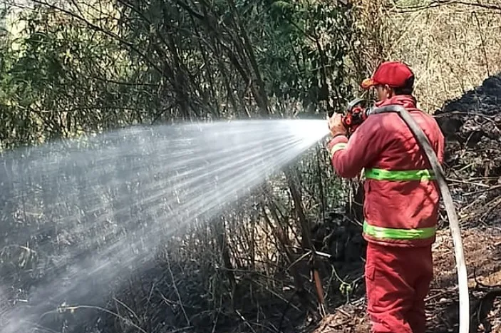 Dua Hektar Lahan Peternakan Ayam Missouri Cikahuripan Sumedang Terbakar ... Dua Hektar Lahan Peternakan Ayam Missouri Cikahuripan Sumedang Terbakar ...
