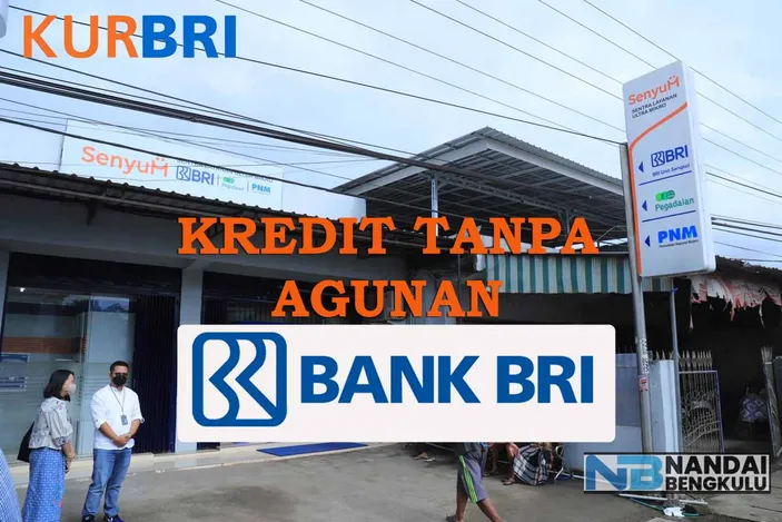 Pinjaman KUR BRI Tanpa Jaminan Cair Maksimal 100 Juta, Simak Tata Cara ... Pinjaman KUR BRI Tanpa Jaminan Cair Maksimal 100 Juta, Simak Tata Cara ...