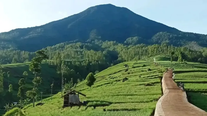Sedang Viral! Ini Lokasi dan Patokan Menuju Terasering Barugantung ... Sedang Viral! Ini Lokasi dan Patokan Menuju Terasering Barugantung ...