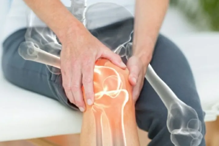 Cukup Pakai Daun Salam Untuk Mencegah Terjadinya Osteoporosis, Tulang ... Cukup Pakai Daun Salam Untuk Mencegah Terjadinya Osteoporosis, Tulang ...