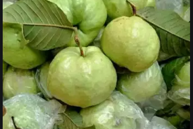 Perlu Anda Ketahui Berikut 7 Manfaat Jambu Kristal Yang Berkhasiat