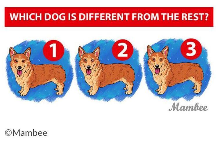 TES IQ : Temukan Perbedaan dari Teka Teki Gambar Ini, Manakah Gambar ... TES IQ : Temukan Perbedaan dari Teka Teki Gambar Ini, Manakah Gambar ...