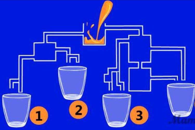 Tes IQ: Tebak Gelas Mana yang Akan Mendapatkan Jus Jeruk Pertama ... Tes IQ: Tebak Gelas Mana yang Akan Mendapatkan Jus Jeruk Pertama ...