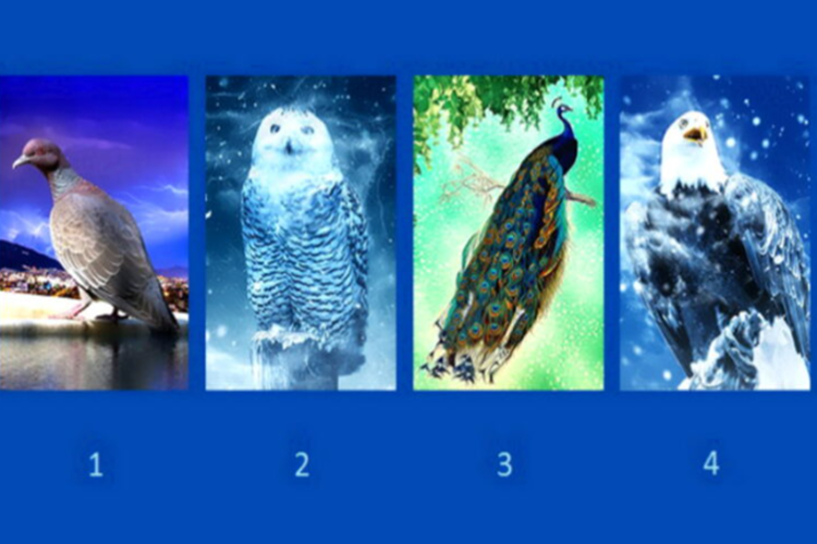 Tes Psikologi : Pilih Merpati, Burung Hantu, Merak dan Elang, Kekuatan ... Tes Psikologi : Pilih Merpati, Burung Hantu, Merak dan Elang, Kekuatan ...