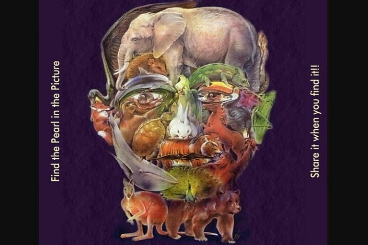 Tes Fokus: Butuh Konsentrasi, Temukan Mutiara pada Gambar Ini dengan ... Tes Fokus: Butuh Konsentrasi, Temukan Mutiara pada Gambar Ini dengan ...