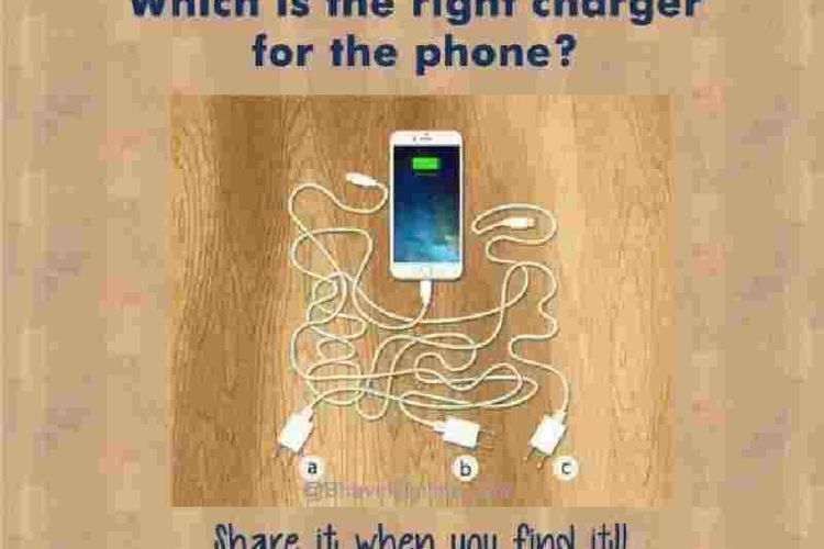 Tes IQ: Seberapa Teliti Anda? Coba Temukan Jalur Kabel Charger yang ... Tes IQ: Seberapa Teliti Anda? Coba Temukan Jalur Kabel Charger yang ...