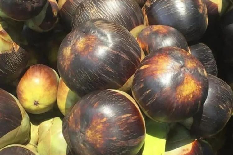 Membantu Meringankan Masalah Pencernaan Inilah Khasiat Dan Manfaat Buah Siwalan Untuk Kesehatan