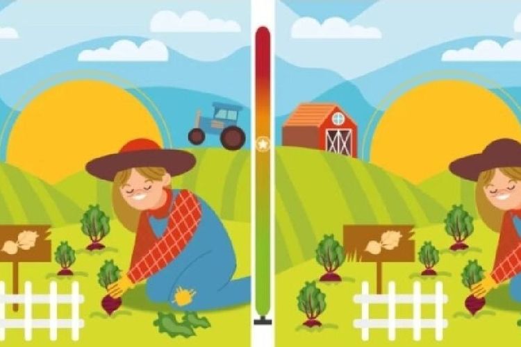 Tes IQ : Temukan 3 Perbedaan Gambar Wanita yang Sedang Berkebun Dalam ... Tes IQ : Temukan 3 Perbedaan Gambar Wanita yang Sedang Berkebun Dalam ...
