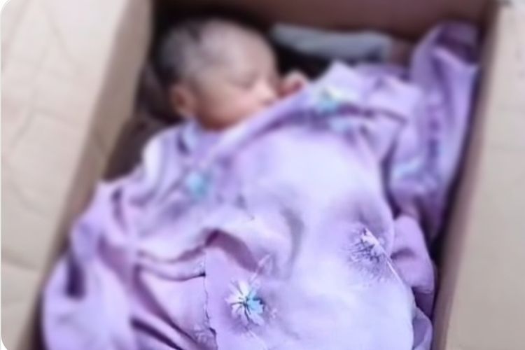 Bayi Laki-laki Dibuang dalam Kardus di Kaligangsa Margadana Kota Tegal ... Bayi Laki-laki Dibuang dalam Kardus di Kaligangsa Margadana Kota Tegal ...