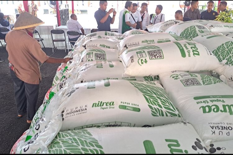 Musim Tanam Tiba! Pupuk Indonesia Pastikan Distribusi Lancar di Awal ... Musim Tanam Tiba! Pupuk Indonesia Pastikan Distribusi Lancar di Awal ...