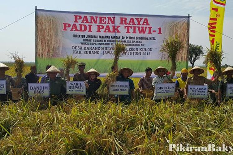 Petani Minta Jaminan Pasokan Air Petani Minta Jaminan Pasokan Air