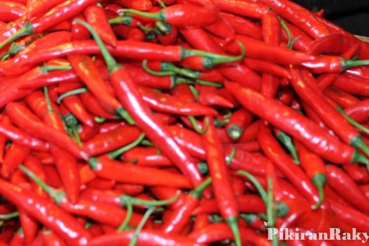 Pasokan Berkurang, Harga Cabai Melejit Pasokan Berkurang, Harga Cabai Melejit