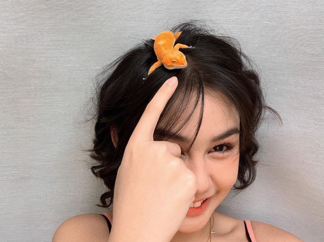 Mengenal Lebih Jauh Tentang Leopard Gecko, Reptil Lucu yang ... Mengenal Lebih Jauh Tentang Leopard Gecko, Reptil Lucu yang ...