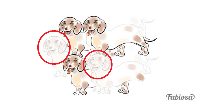 Tes IQ: Ada 2 Ekor Anjing Palsu! Coba Tebak yang Mana dan Jangan Sampai ... Tes IQ: Ada 2 Ekor Anjing Palsu! Coba Tebak yang Mana dan Jangan Sampai ...