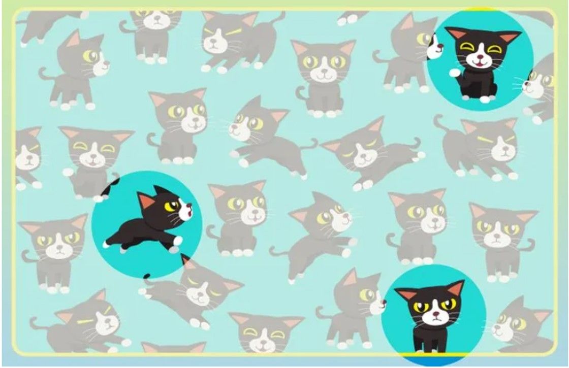Tes IQ: Ada Berapa Kucing yang Tidak Berekor pada Gambar Ini? Ungkap ... Tes IQ: Ada Berapa Kucing yang Tidak Berekor pada Gambar Ini? Ungkap ...