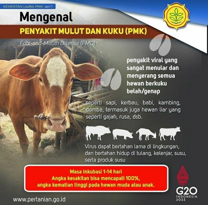 Apa Itu PMK Pada Hewan Ternak, Simak Penjelasannya - Halaman 2 Apa Itu PMK Pada Hewan Ternak, Simak Penjelasannya - Halaman 2