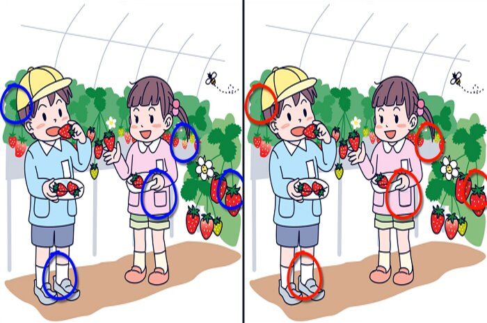 Tes IQ: Nyalakan Mata Elang dan Lihat 5 Perbedaan Tersembunyi di Kebun ... Tes IQ: Nyalakan Mata Elang dan Lihat 5 Perbedaan Tersembunyi di Kebun ...