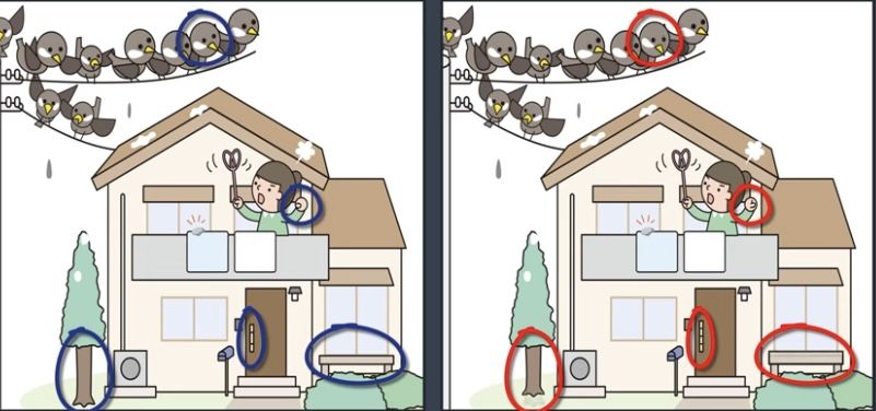 Tes IQ: Si Cerdas Visual Sadar Ada yang Berbeda dari Kedua Gambar Ini ... Tes IQ: Si Cerdas Visual Sadar Ada yang Berbeda dari Kedua Gambar Ini ...