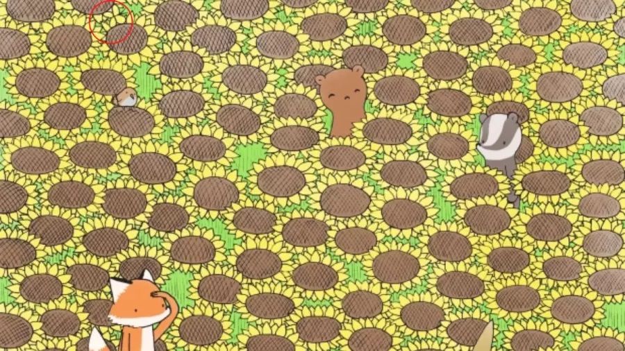 Tes IQ: Punya Jiwa Detektif? Buktikan dengan Menemukan Kupu-Kupu ... Tes IQ: Punya Jiwa Detektif? Buktikan dengan Menemukan Kupu-Kupu ...