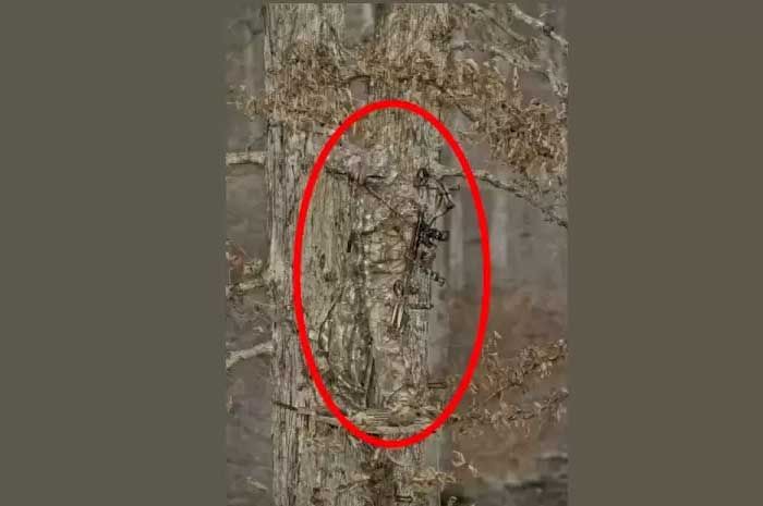 Tes Ilusi Optik: Kamuflase Terbaik! Jika Kamu Memiliki Mata Jeli ... Tes Ilusi Optik: Kamuflase Terbaik! Jika Kamu Memiliki Mata Jeli ...