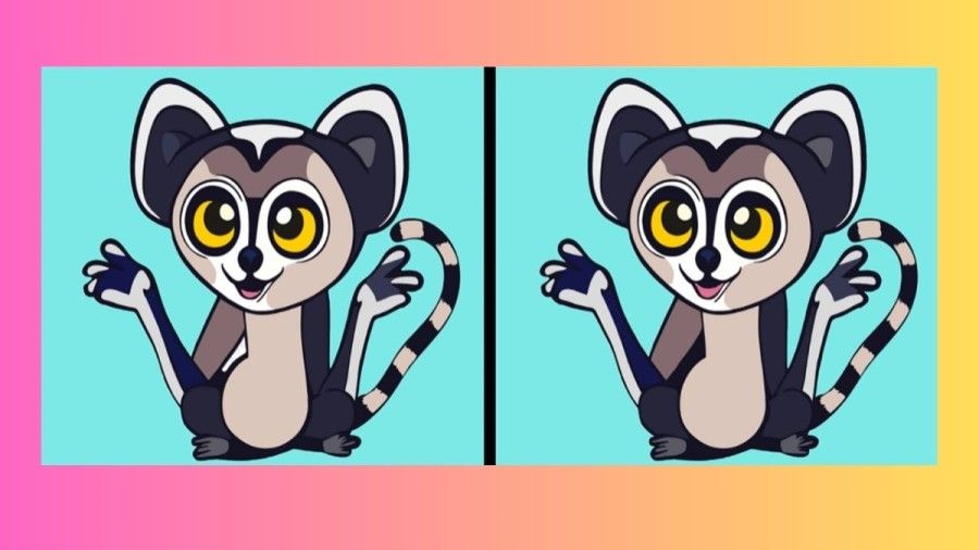 Tes Kejelian Mata: Bisakah Kamu Bantu Koala Comel Ini Cari 5 Perbedaan ... Tes Kejelian Mata: Bisakah Kamu Bantu Koala Comel Ini Cari 5 Perbedaan ...