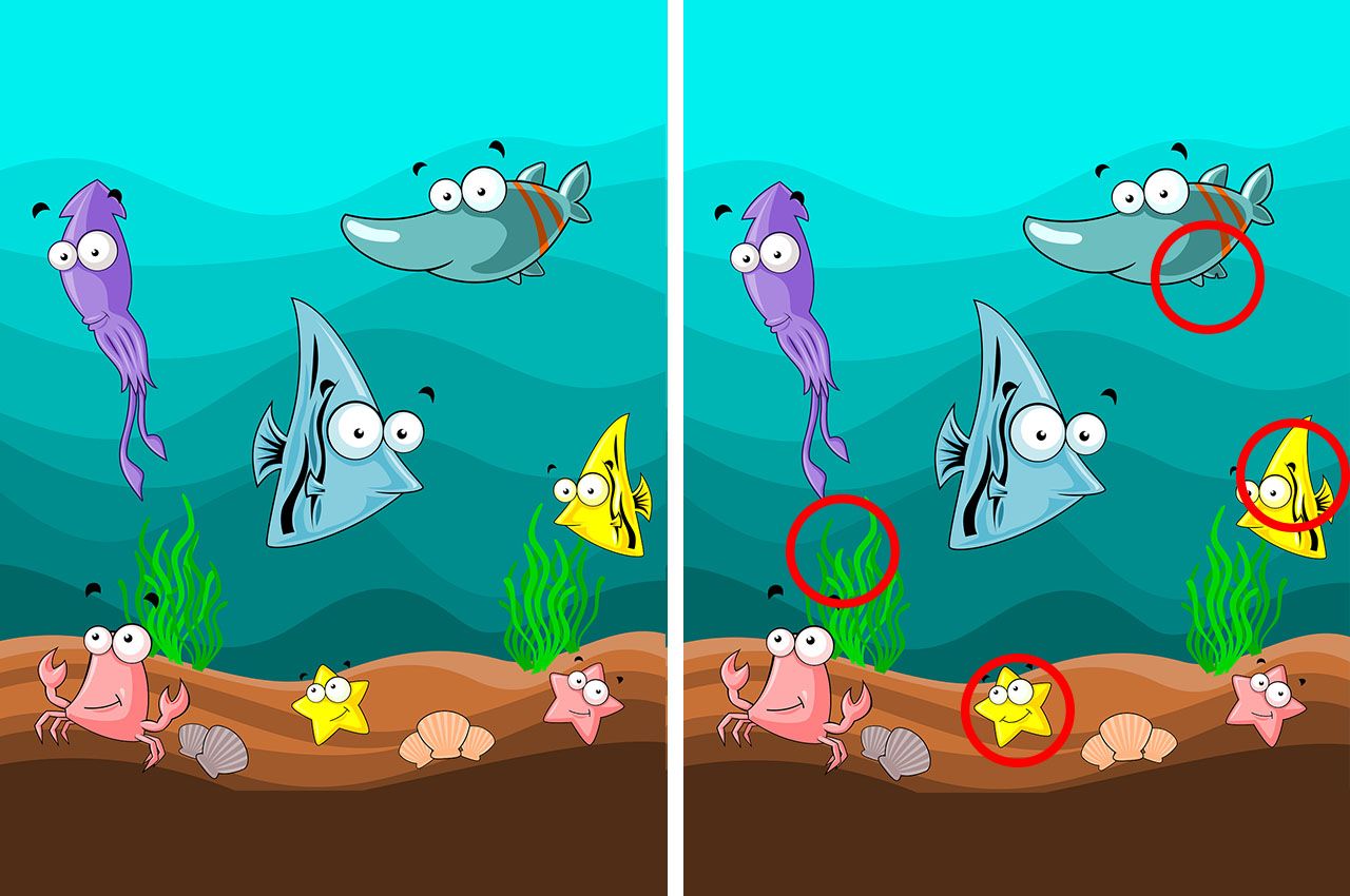 Tes IQ: Si Jeli Bisa Cari Perbedaan pada Gambar Hewan Laut Ini, Ayo ... Tes IQ: Si Jeli Bisa Cari Perbedaan pada Gambar Hewan Laut Ini, Ayo ...