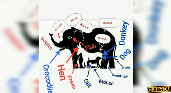 Tes IQ dengan Berapa Banyak Hewan yang Bisa Dilihat untuk Mengungkap ... Tes IQ dengan Berapa Banyak Hewan yang Bisa Dilihat untuk Mengungkap ...