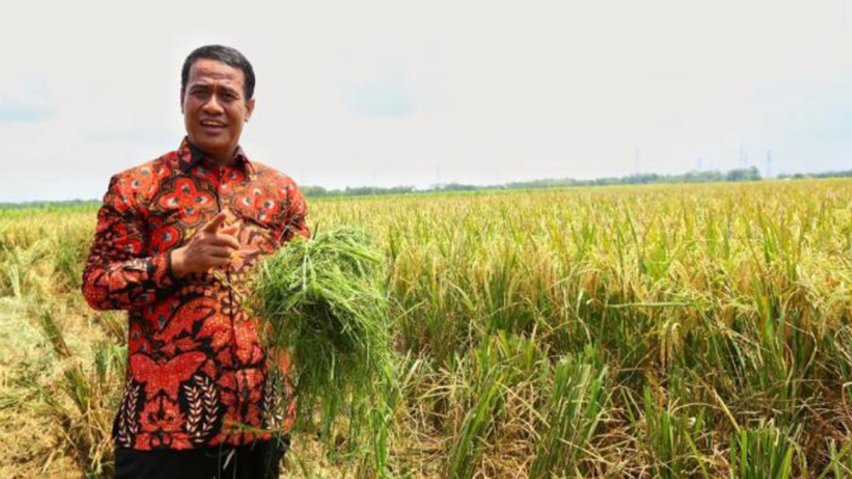 Peringatan Hari Desa 2025, Mentan Tekankan Pentingnya Peran Desa dalam ... Peringatan Hari Desa 2025, Mentan Tekankan Pentingnya Peran Desa dalam ...