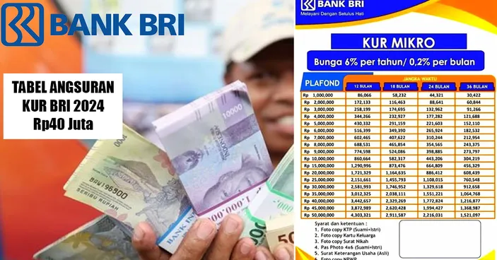 Pahami 3 Jenis Kur Bri Dan Langkah Pengajuan Termasuk Kemudahan Untuk