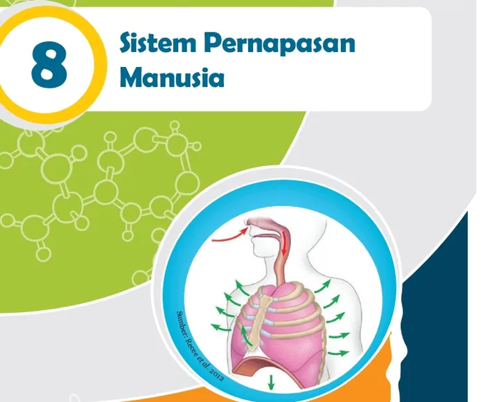 Soal Pat Ipa Kelas 8 Semester 2 Dan Kunci Jawaban Contoh Soal Pat Ipa ... Soal Pat Ipa Kelas 8 Semester 2 Dan Kunci Jawaban Contoh Soal Pat Ipa ...