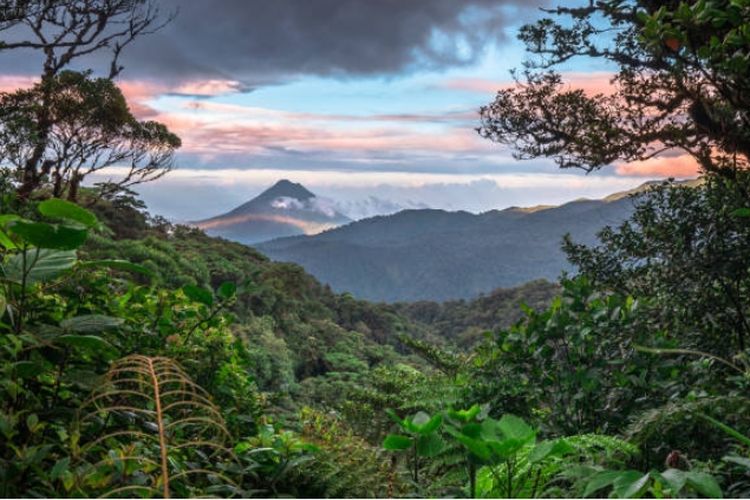 Top Lima Tempat Wisata Terhits di Singkawang, Jadi Destinasi Paling ... Top Lima Tempat Wisata Terhits di Singkawang, Jadi Destinasi Paling ...