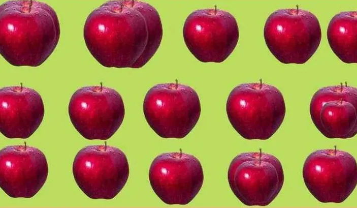 Tes IQ: Uji Ketelitian dan Fokus Anda dengan Menghitung Jumlah Apel ... Tes IQ: Uji Ketelitian dan Fokus Anda dengan Menghitung Jumlah Apel ...