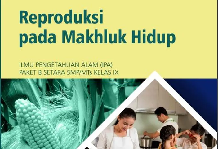 Apa Yang Dimaksud Uretra Testis Dan Kelenjar Prostat Materi Ipa
